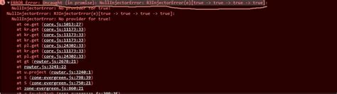 What On Earth Is This Nullinjectorerror No Provider For True R