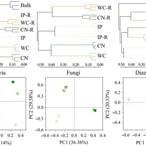 Hierarchical Cluster Analysis A And Principal Coordinates Analysis