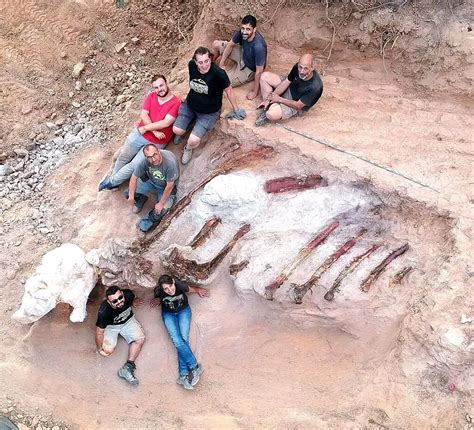 82 Foot Long Dinosaur Skeleton Found In Mans Backyard In Portugal