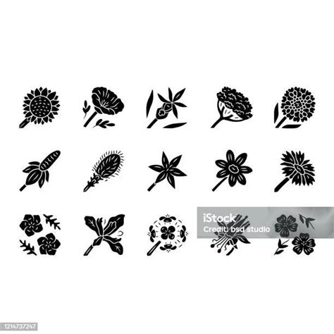 야생 꽃 문말 아이콘 세트입니다 봄 꽃입니다 캘리포니아 야생화 정원 피는 식물입니다 식물 묶음 초원 필드 꽃 잡초 칼플로라 실루엣 기호입니다 벡터 절연 그림 0명에 대한