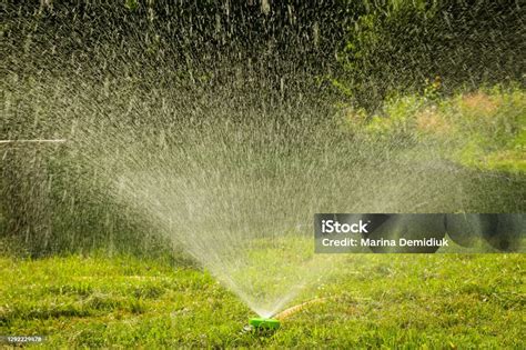 워터 가든 스프링클러 조경 자동 정원 급수 시스템 잔디 관개 시스템 더운 날씨에 잔디밭에 물을 뿌리는 0명에 대한 스톡 사진 및 기타 이미지 Istock