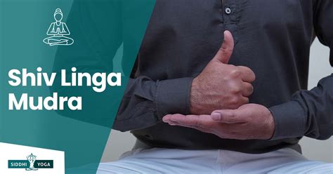 Shiva Linga Mudra Meaning Benefits And How To Do Siddhi Yoga