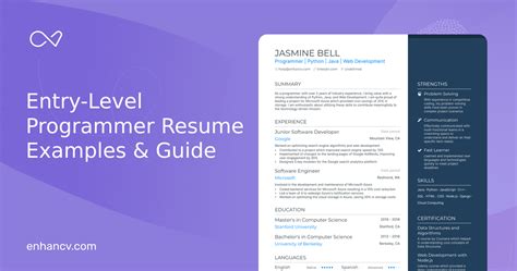 Entry Level Programmer Resume Examples Guide For