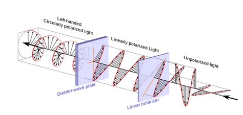 Polarization Of Light Definition Types Methods And Applications