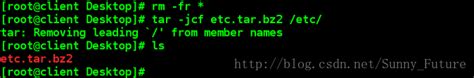 linux系统文件的网络传输、归档tar、压缩zip、gzip、bzip2、xz、gz、bz2 csdn博客
