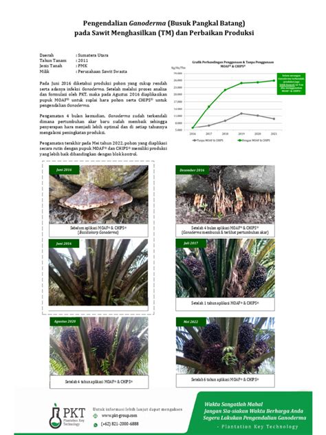 Pengendalian Ganoderma Busuk Pangkal Batang Pada Sawit Menghasilkan Tm Dan Perbaikan