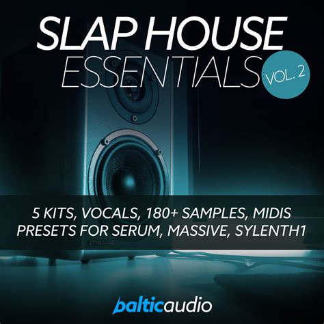 Baltic Audio Sounds For Pop Edm And House Samples Presets Guitars
