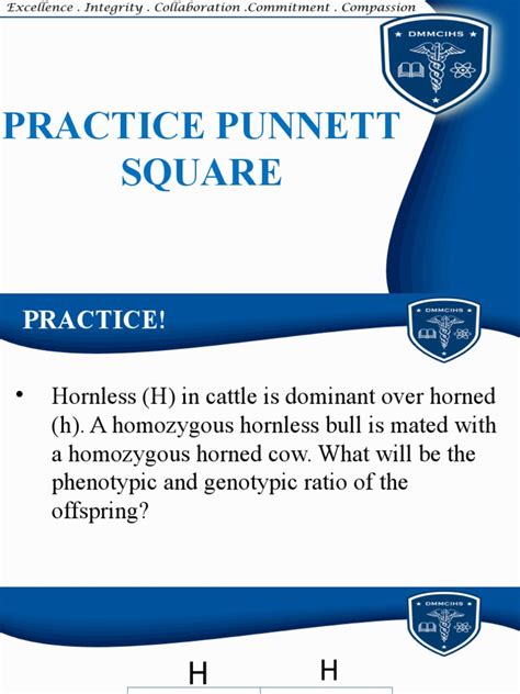 Practice Punnett Square Pdf Genotype Haemophilia