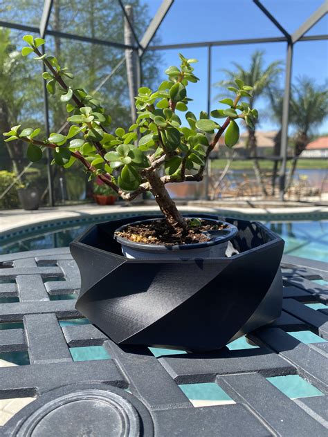 3d Printer Pot For My Jade Bonsai Scrolller