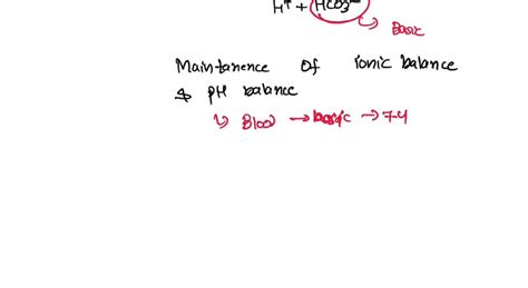 Solved 2 Co2 H2o H2co3 Hco3 H A What Does This Equation Have To Do With The Bicarbonate