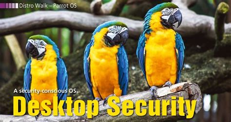 Parrot Security Review TOP NEW Review