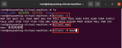 【linux操作系统】探秘linux奥秘：进程与任务管理的解密与实战 理解linux内核进程管理之后的实战 csdn博客