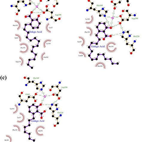 Enzyme Substrate Interaction In Binding Site Enzyme Substrate Of Sdc