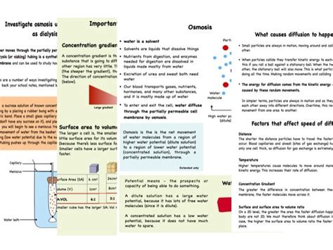 Igcse Biology Cambridge Diffusion Osmosis Active Transport Teaching Resources