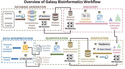 A Novel Clinical Metaproteomics Workflow Enable