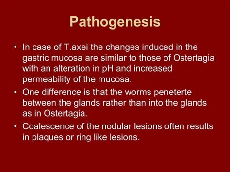 Lecture 3 Trichostrongylus Ppt Digestive Disorders Diseases And