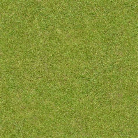 Flattened Grass Seamless Texture 0118 Grass Seamless Grass Texture