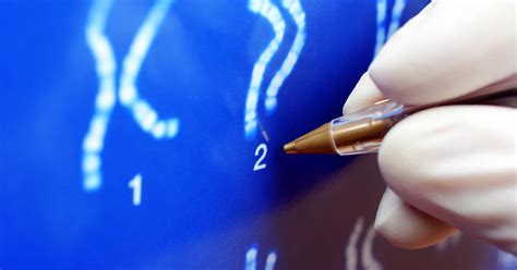 Le sexe neutre aux frontières de lhomme et de la femme