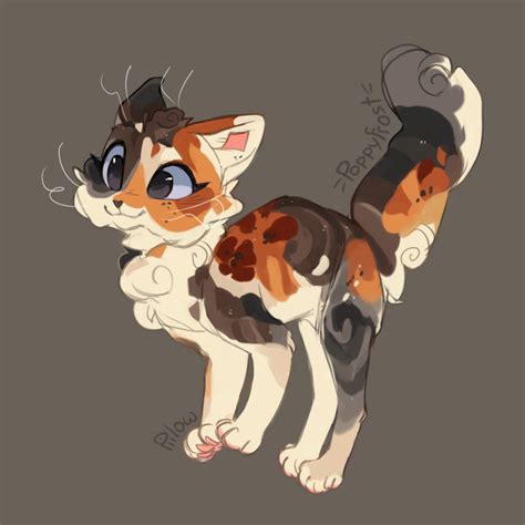 Poppyfrost By Graypillow On Deviantart