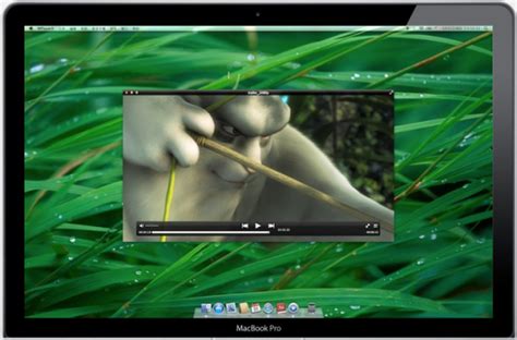 MplayerX Review Slant