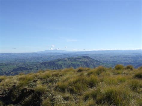 Docs Mokai Station Road Talks Stall