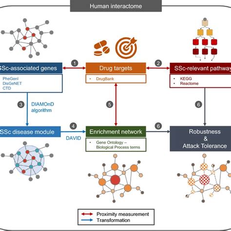 Overview Of The Computational Approach With Network Proximity Data