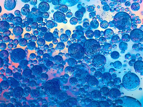 Oxidation Definition Umweltcluster Nrw