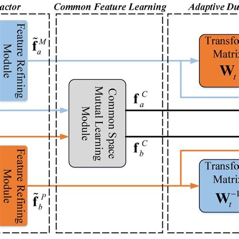 Framework Of The Proposed Dual Modality Collaborative Learning Method Download Scientific