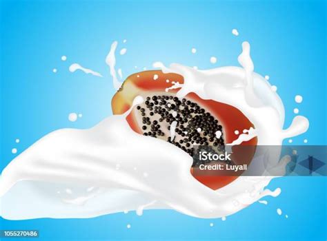 파파야 과일의 떨어지는 조각과 우유 스플래시 3d 그림 크림 붓는 웨이브 요구르트 포장 템플릿 현실적인 유기 과일 낙농 제품입니다 벡터 일러스트 레이 션 3차원 형태에 대한