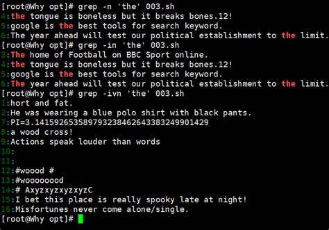 Shell 编程 正则表达式与文本处理器 CSDN博客