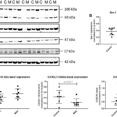 Cytokine Expression Statistical Analysis Of Cytokine Array Data From A