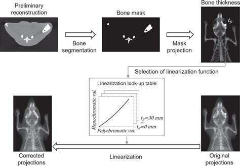 Workflow Of The Proposed Correction Method Download Scientific Diagram