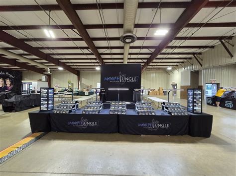 Morph Jungle Od Yb Ultramel Ballpython Ballpythons