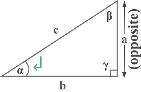 Opposite Adjacent Hypotenuse Explanation And Examples