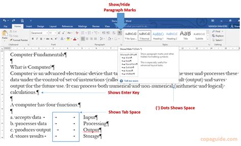 MS Word Hindi Notes Using MS Word Formatting Marks