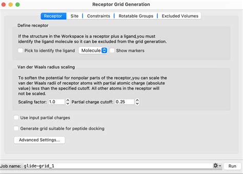[11] Schrodinger Maestro Receptor Grid Generation