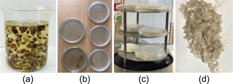 Extraction And Freeze Drying Of Quince Seed Mucilage A Quince Seeds