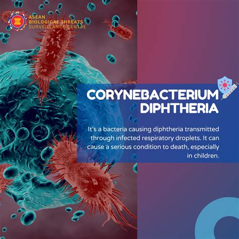 Asean 🔬 What Causes Diphtheria It All Starts With A Bacterium