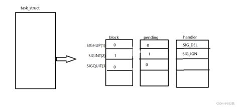 linux进程信号 sigsegv触发流程 csdn博客