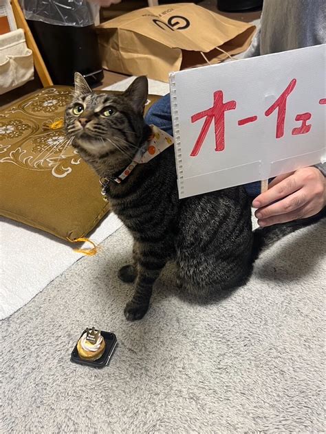 こぶまき1歳の誕生日！！ ねこのおままごと