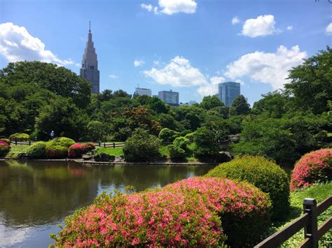 Visiting Shinjuku Gyoen National Garden In Tokyo All You Need To Know