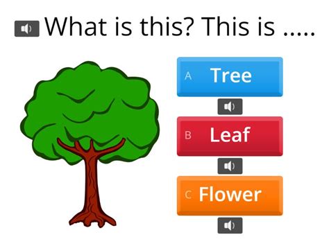 Tree Quiz
