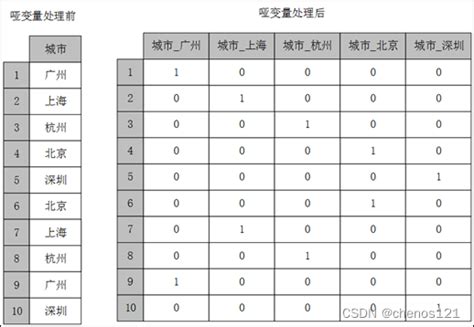 离散特征处理与连续数据哑变量化 Csdn博客