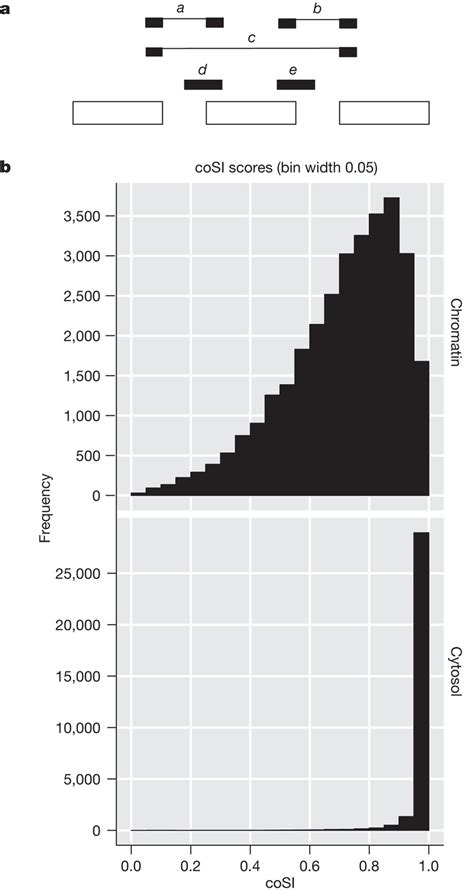 Co Transcriptional Splicing A Short Read Mappings For Exon Based Download Scientific Diagram