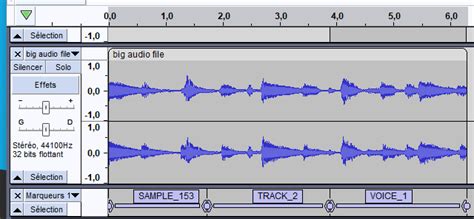 Solved Generating A Timestamp Map According To Tracks Audacity 3