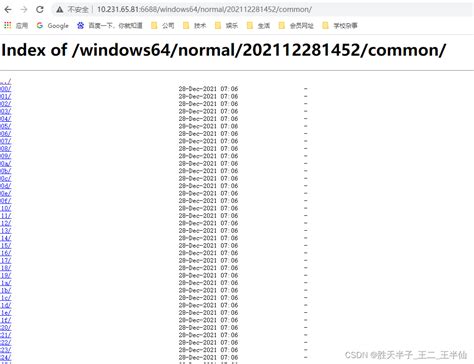 Windows Nginx目录映射windwos Nginx映射本地文件路径 Csdn博客