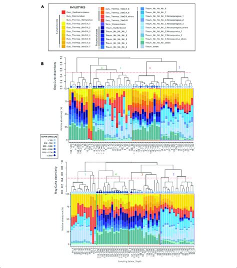 cluster dendrogram based on bray curtis dissimilarity after