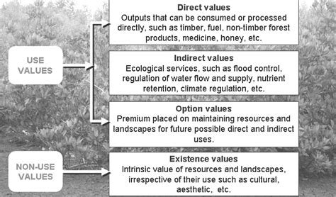 the concept of use and non use values for mangrove ecosystem evaluation