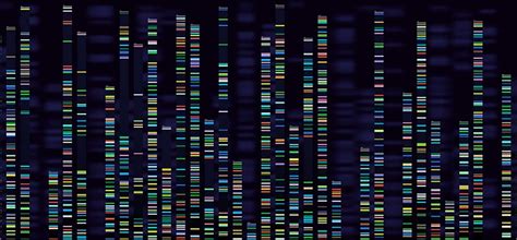 Informatics Wallpapers Top Free Informatics Backgrounds Wallpaperaccess