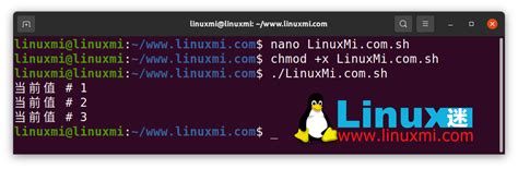 如何在 linux bash shell 脚本中使用 for 循环 linux迷